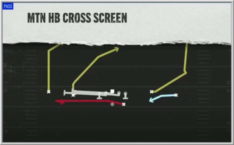 College Football 25 Georgia Offensive Playbook Shotgun Spread Y-Flex
